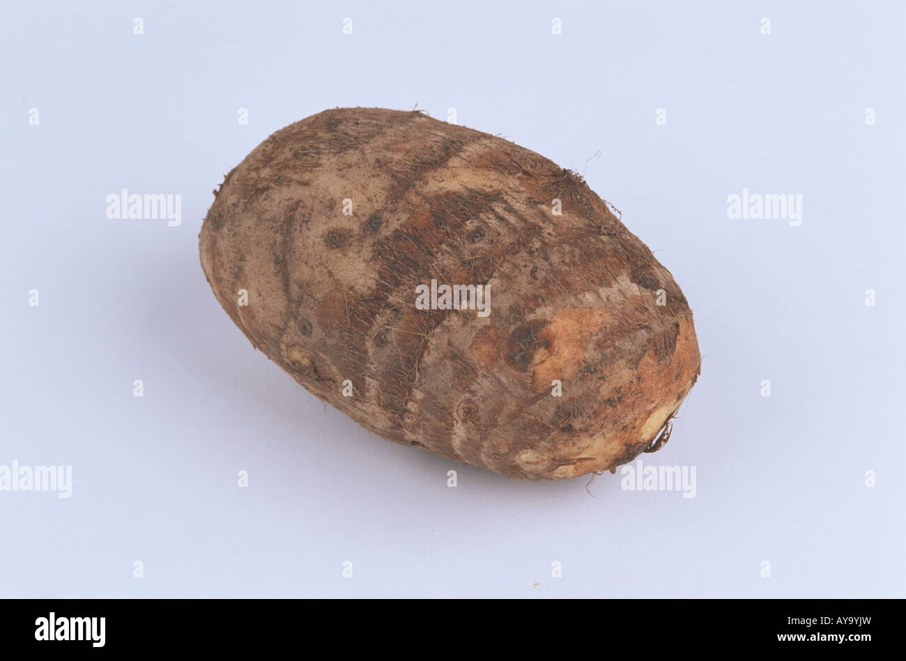 Taros hi-res stock photography and images - Alamy