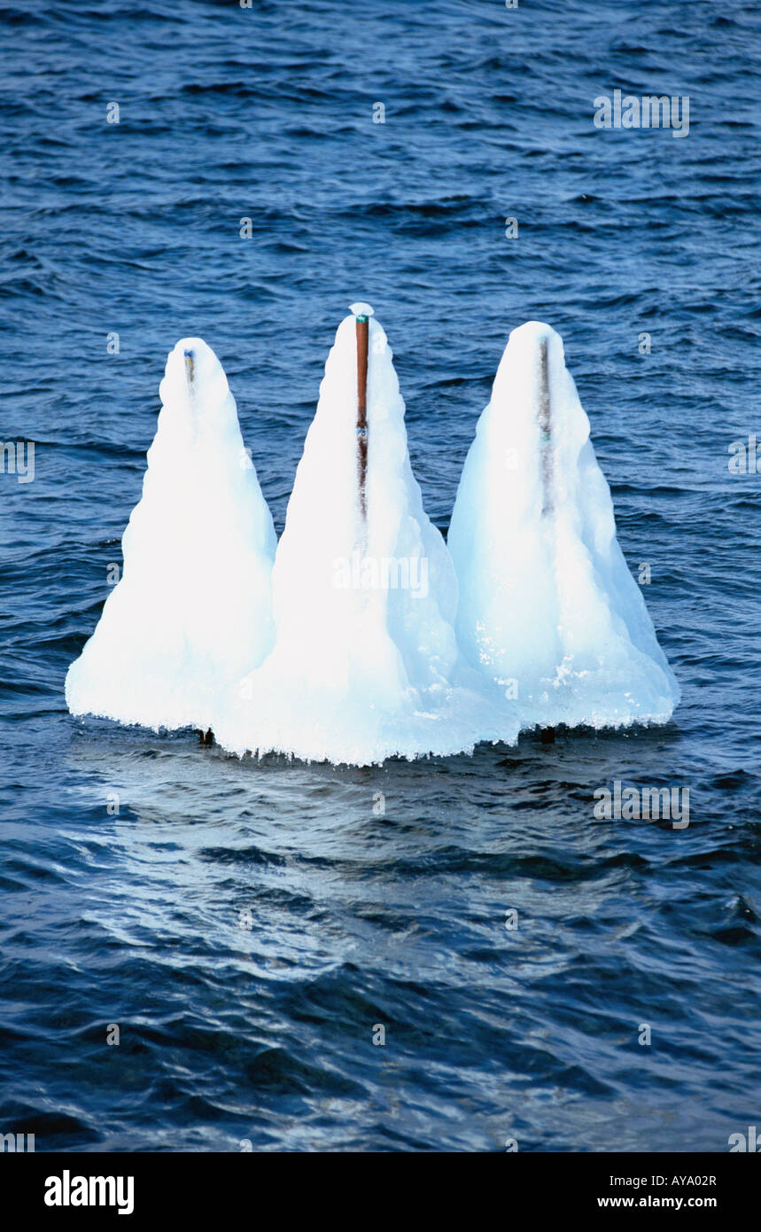 Frozen sticks in the lake hi-res stock photography and images - Alamy