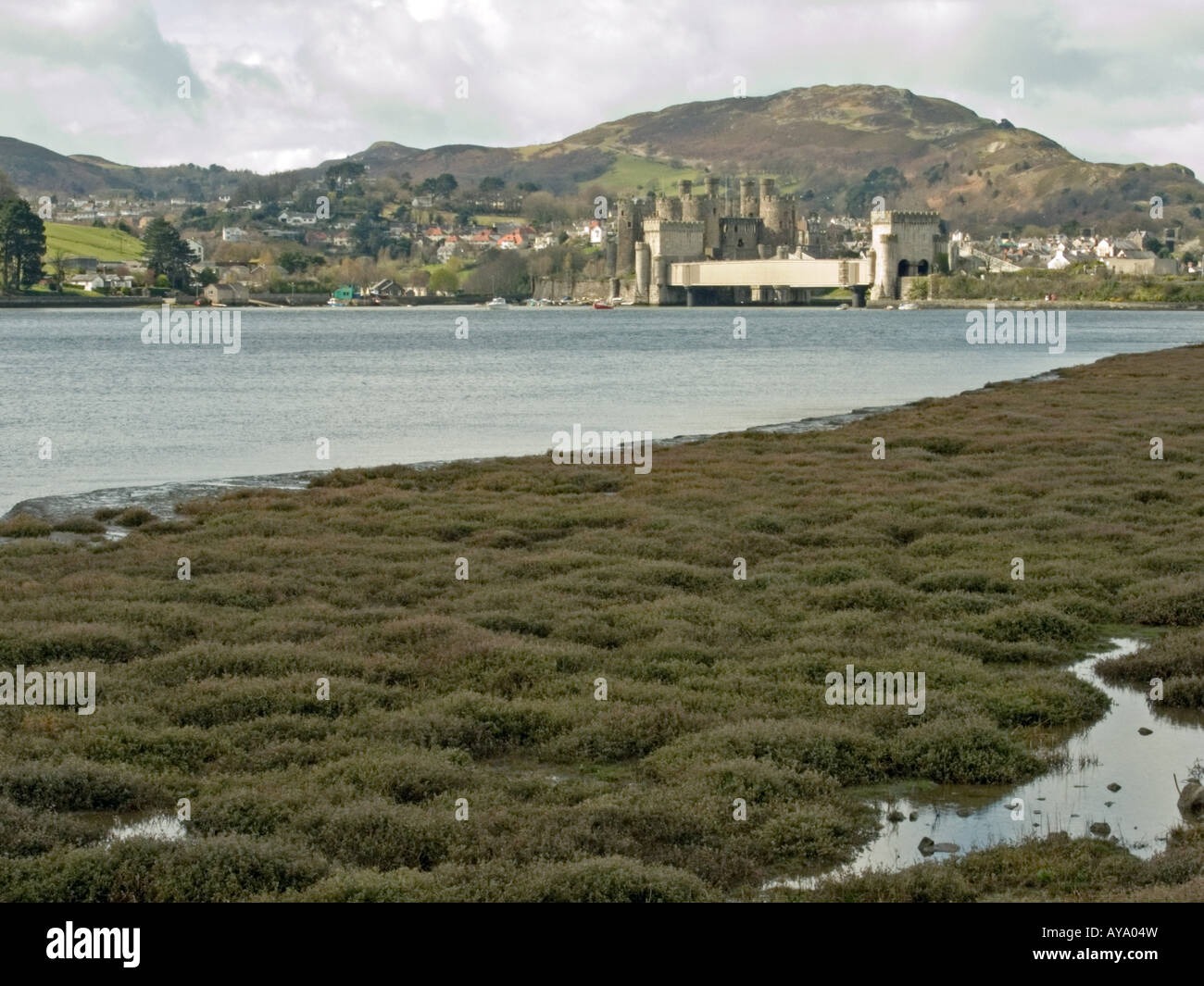 Conwy Estuary, Castle and Suspension Bridge Stock Photo - Alamy