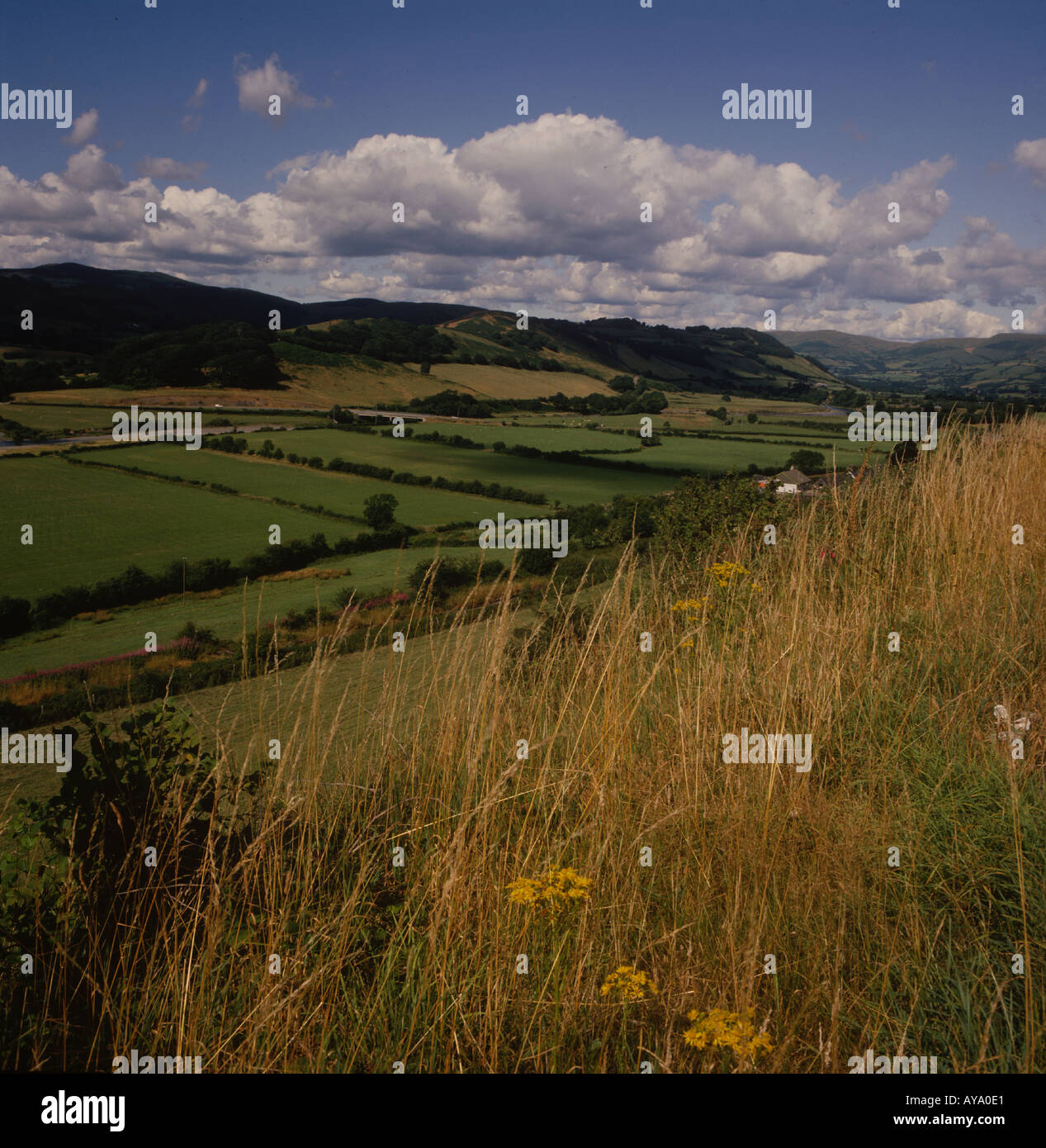 Dyfi valley machynlleth wales hi-res stock photography and images - Alamy