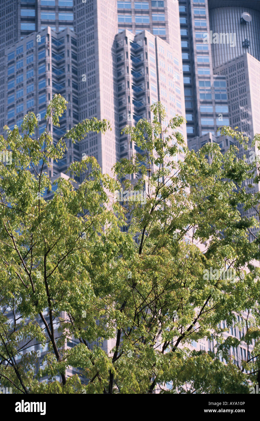 Skyscrapers behind tree hi-res stock photography and images - Alamy