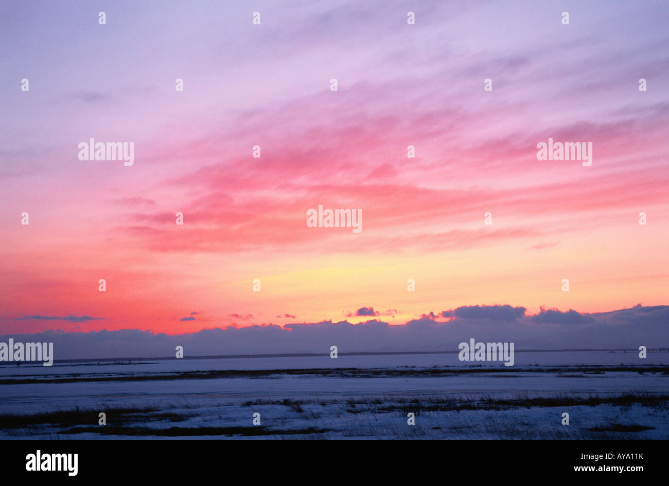 Coastline at Sunset Stock Photo - Alamy