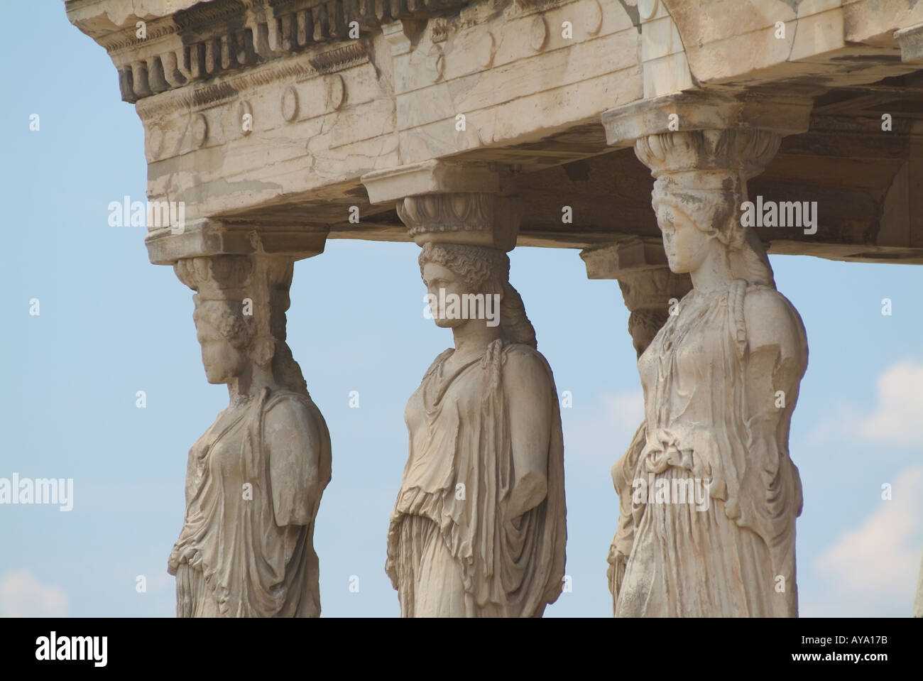 Callicrates High Resolution Stock Photography and Images - Alamy