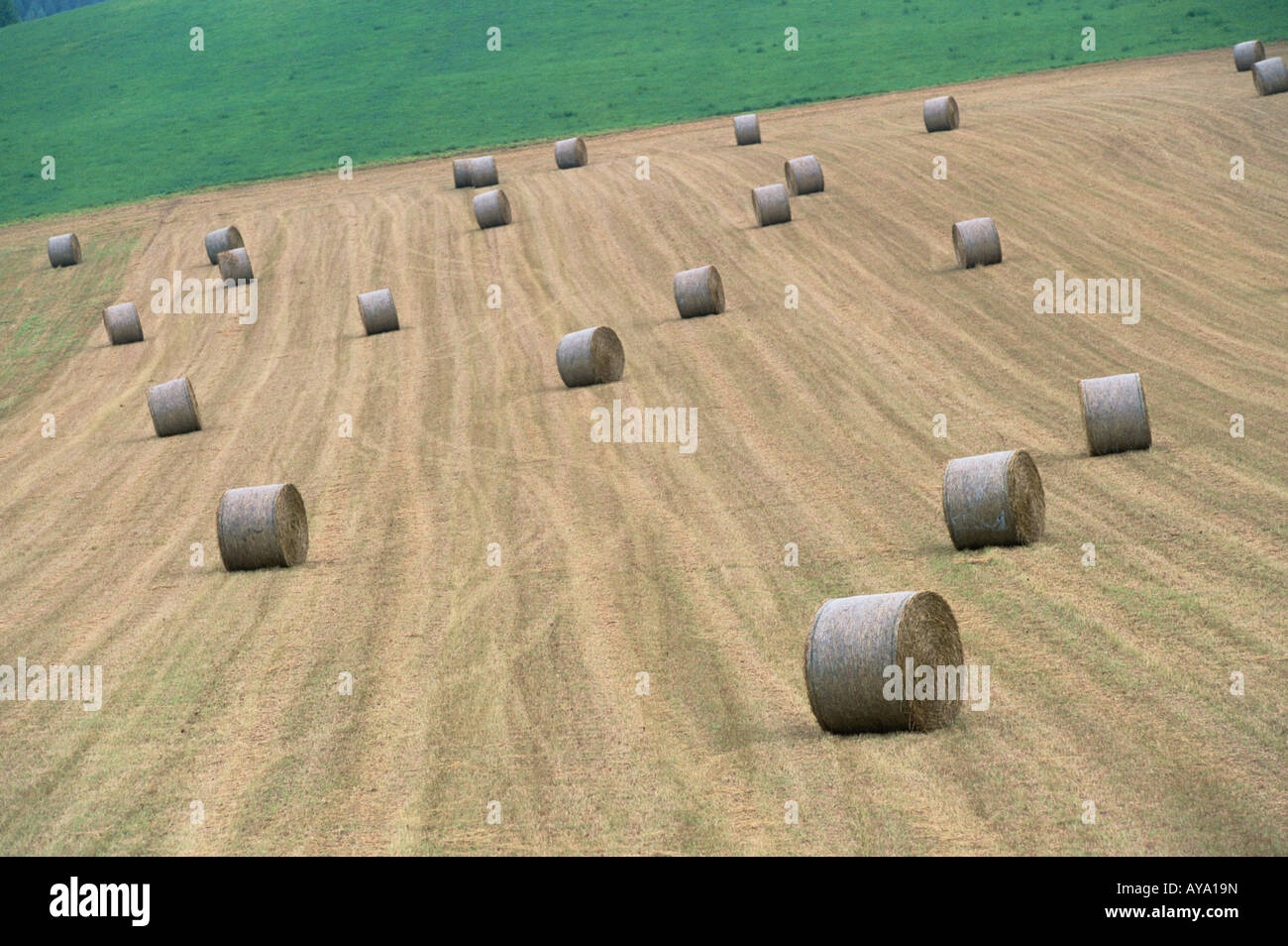 Field of haystacks hi-res stock photography and images - Alamy