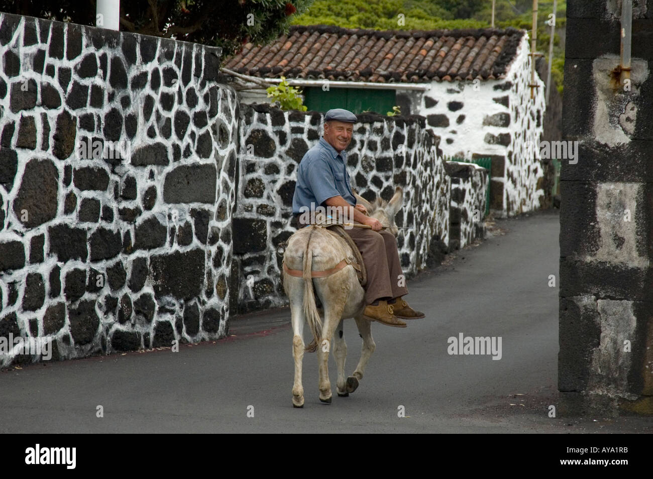 Man riding a donkey hi-res stock photography and images - Alamy