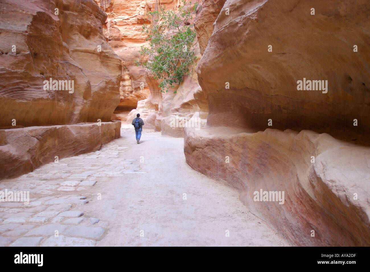 Petra water channels hi-res stock photography and images - Alamy