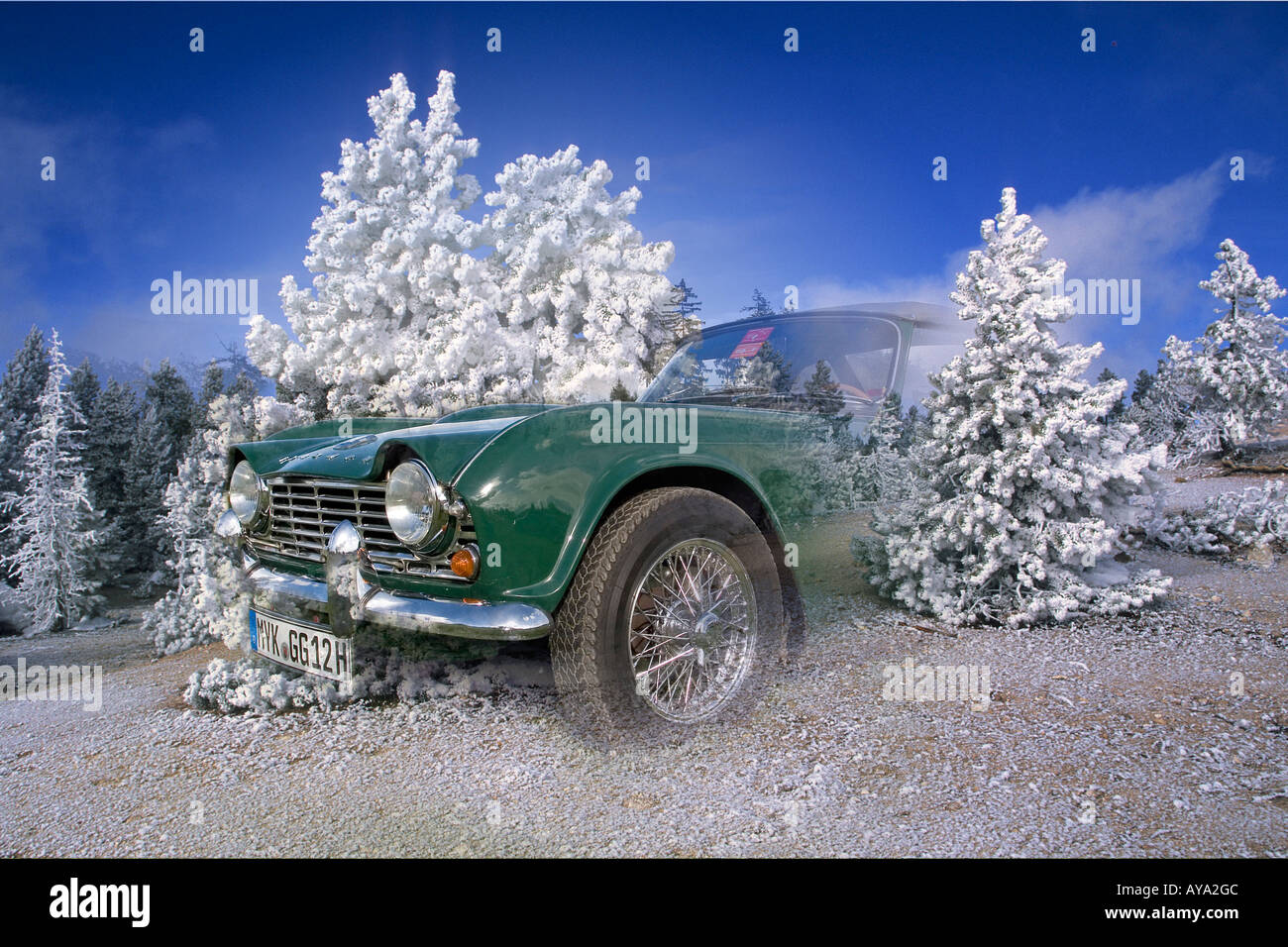 Triumph TR 4 Stock Photo - Alamy