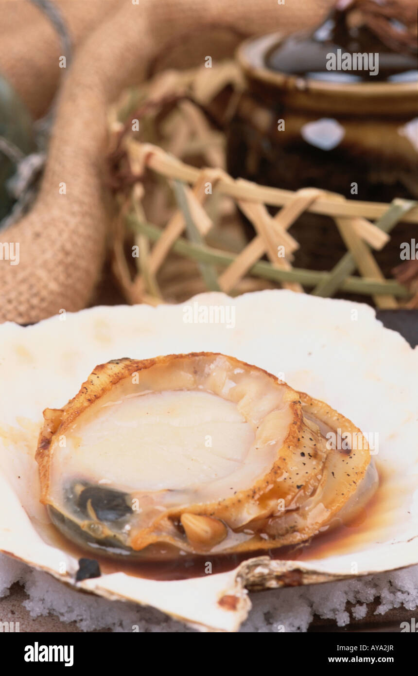 Scallop with Shell Stock Photo - Alamy