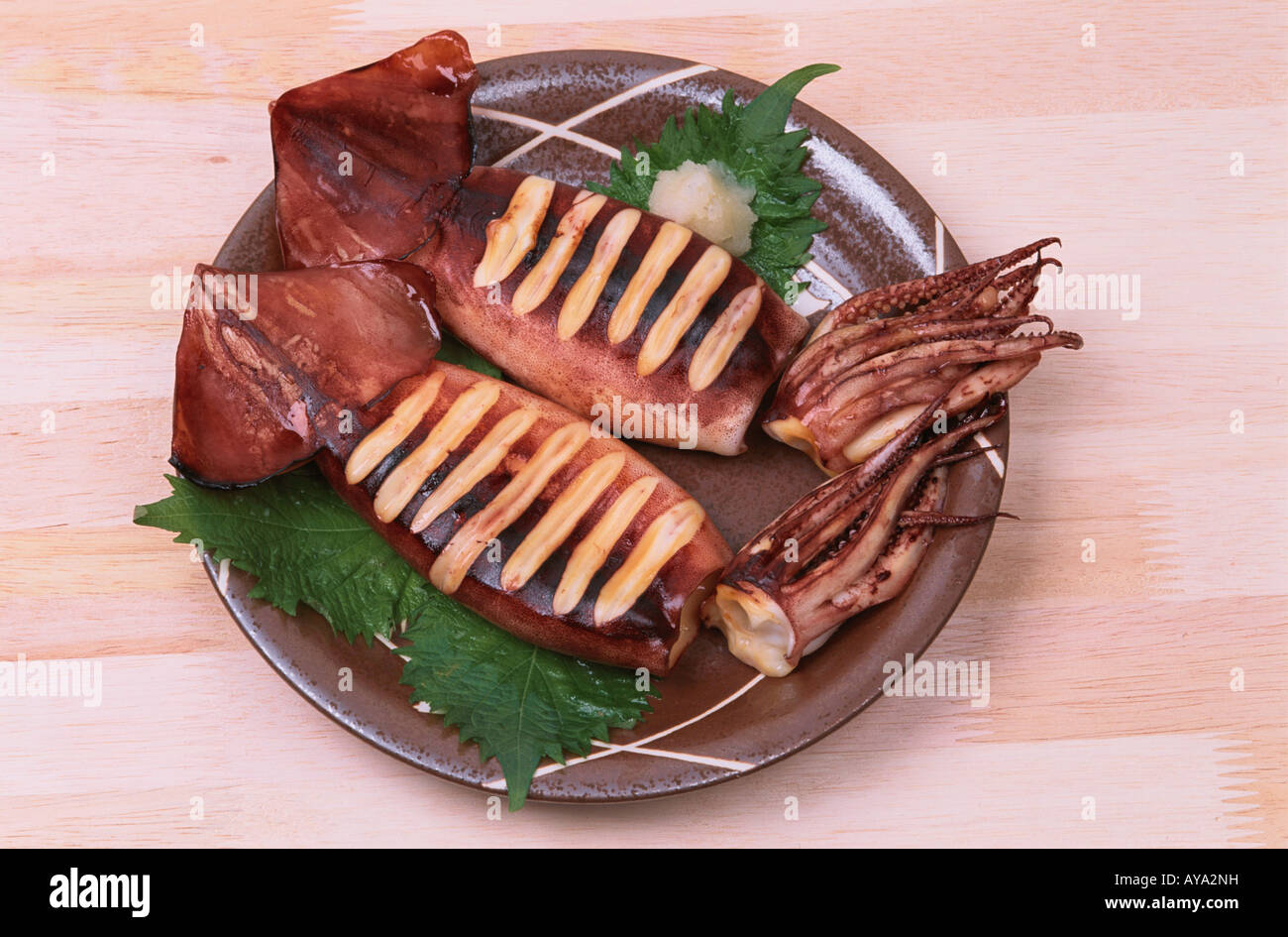 Cuttlefishes hi-res stock photography and images - Alamy