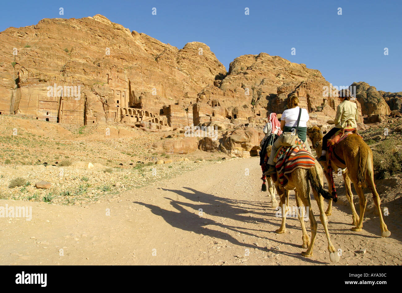 Man riding camel petra jordan hi-res stock photography and images - Alamy