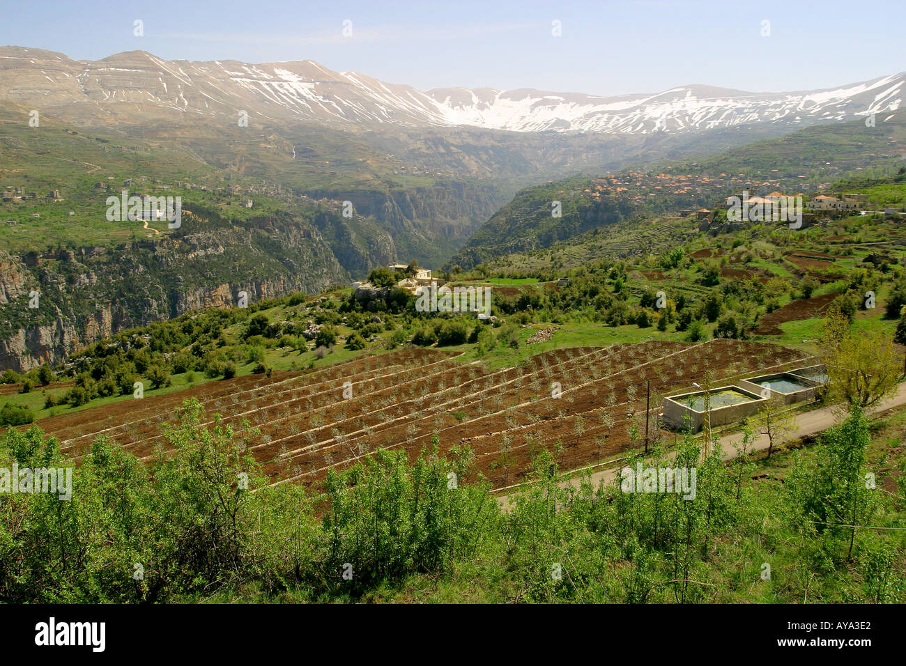 Qadisha gorge hi-res stock photography and images - Alamy