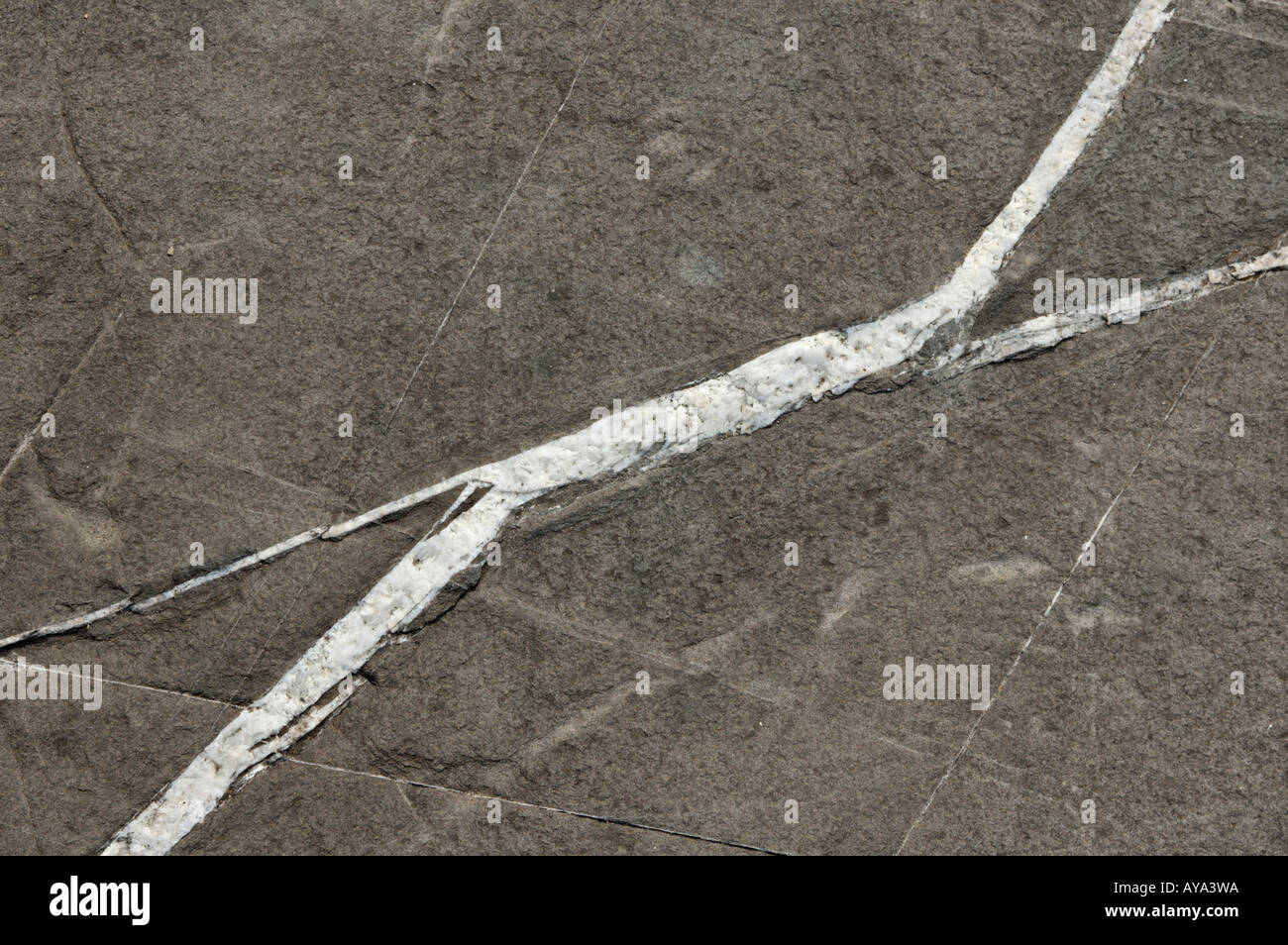 Veined rock hi-res stock photography and images - Alamy