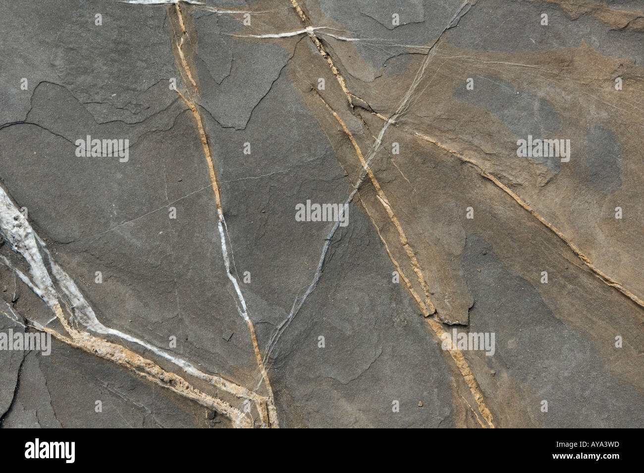 Veined rock hi-res stock photography and images - Alamy