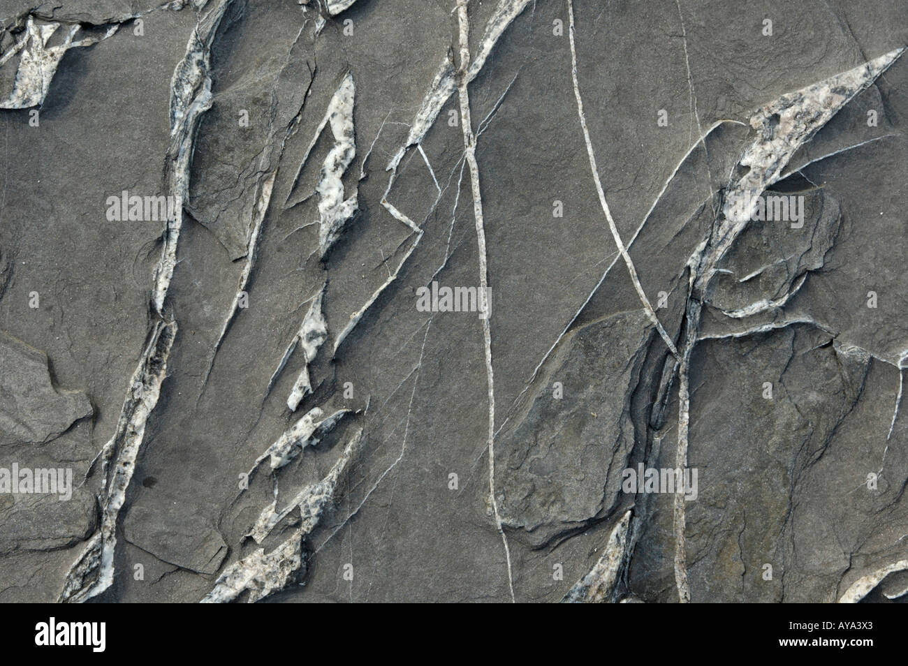 Veined rock hi-res stock photography and images - Alamy