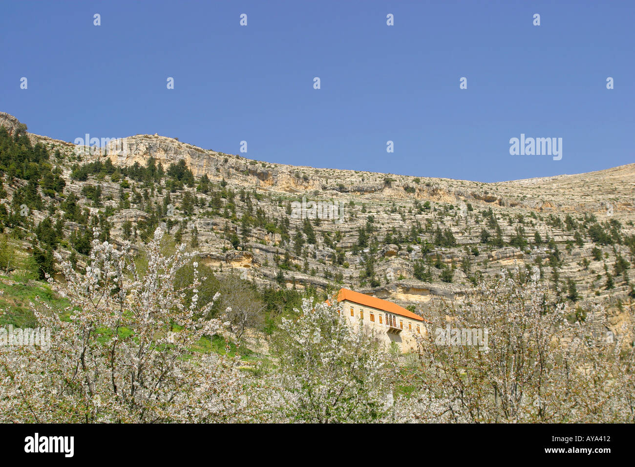Ouadi qadisha hi-res stock photography and images - Alamy