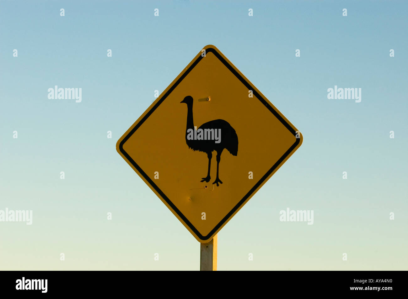 Emu warning sign, Australia Stock Photo - Alamy