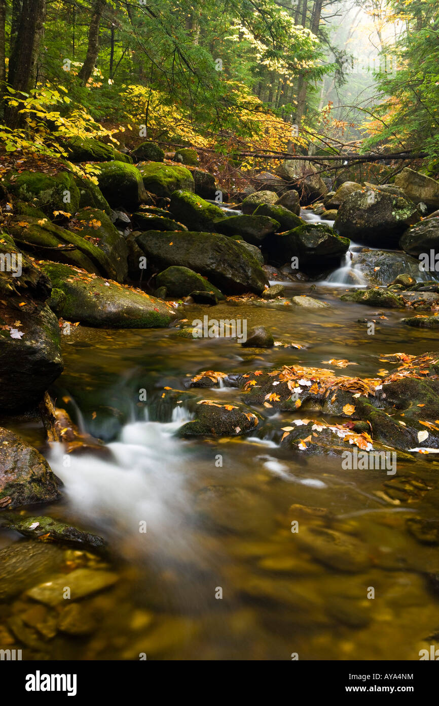 A tributary of the Baker River flows through a hemlock forest in Groton ...