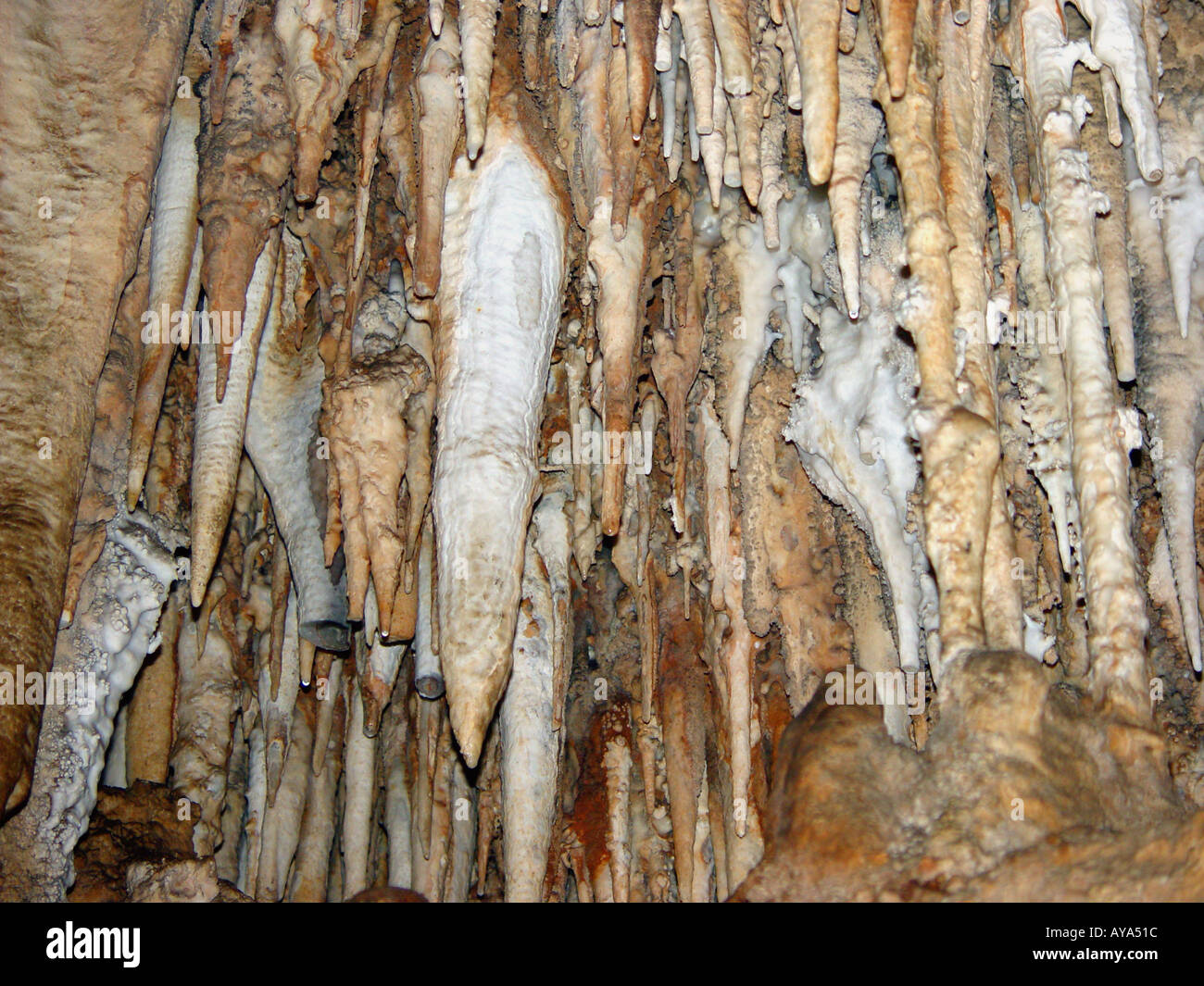 Espeleotema hi-res stock photography and images - Alamy