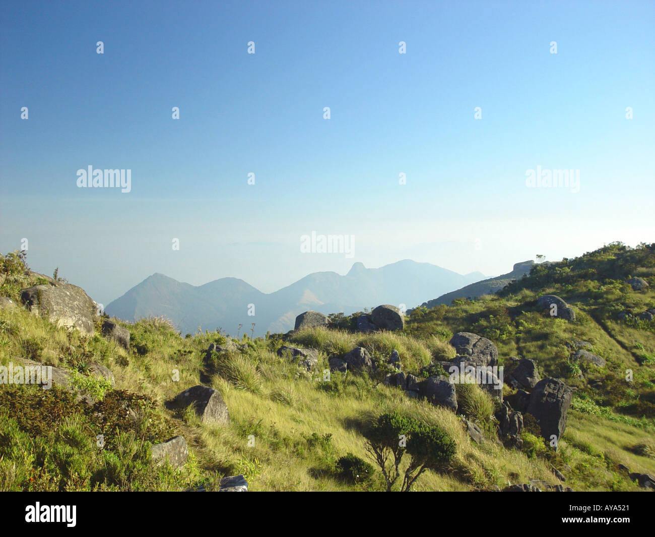Serra dos Orgaos Petropolis e Teresopolis Rio de Janeiro Brasil Stock ...