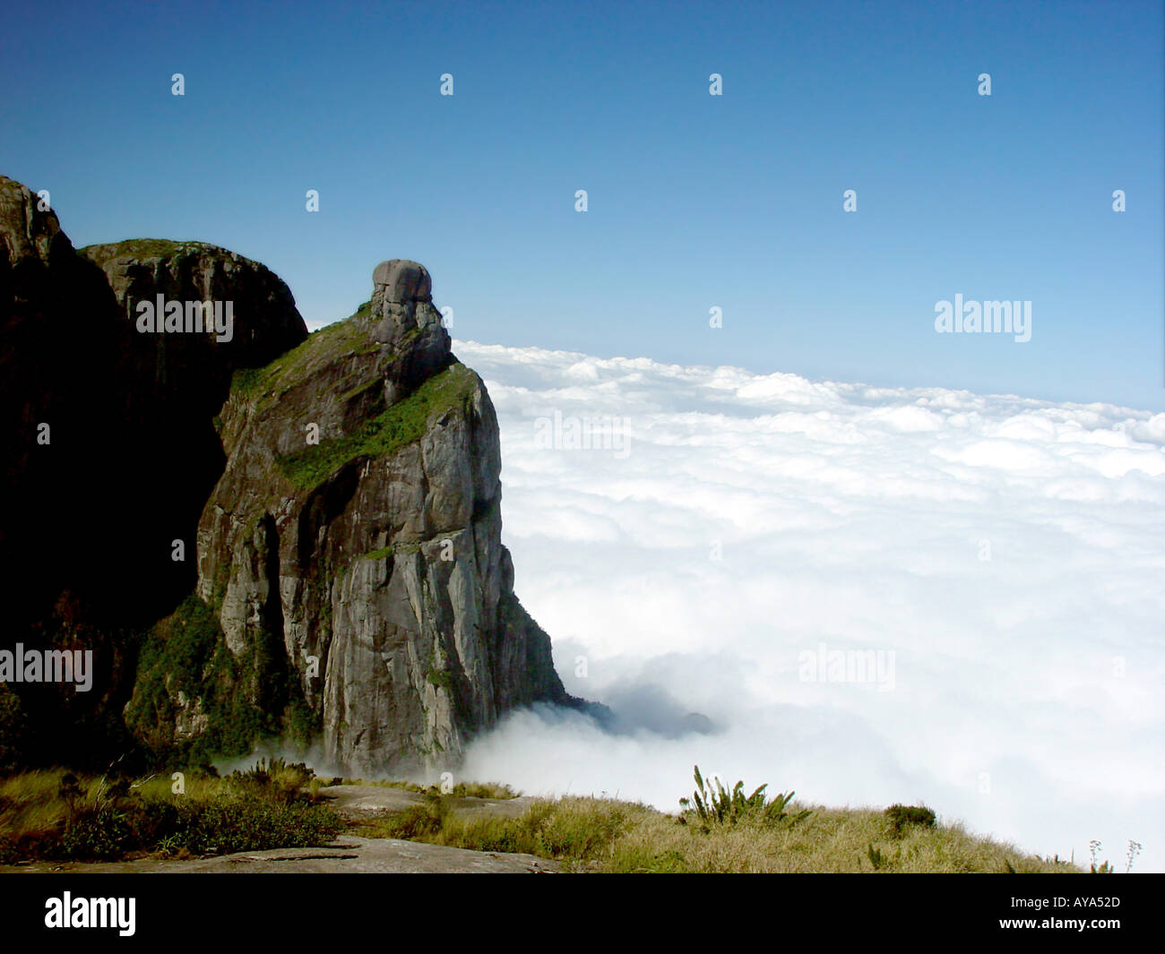 Serra dos Orgaos Petropolis e Teresopolis Rio de Janeiro Brasil Stock ...