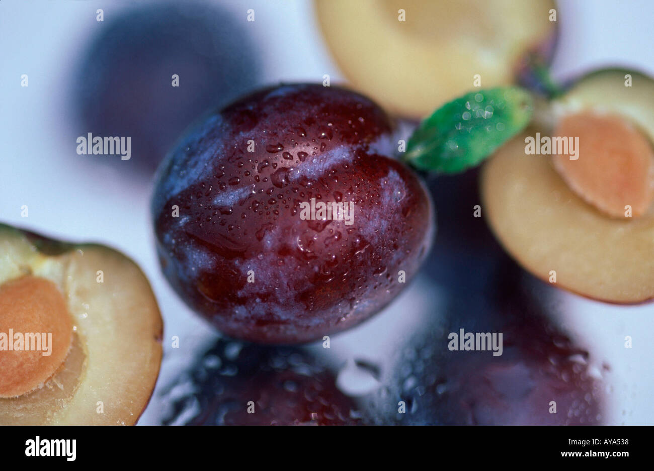 Plums Prunus domestica Pflaumen Obst Fruechte Frucht fruit ...