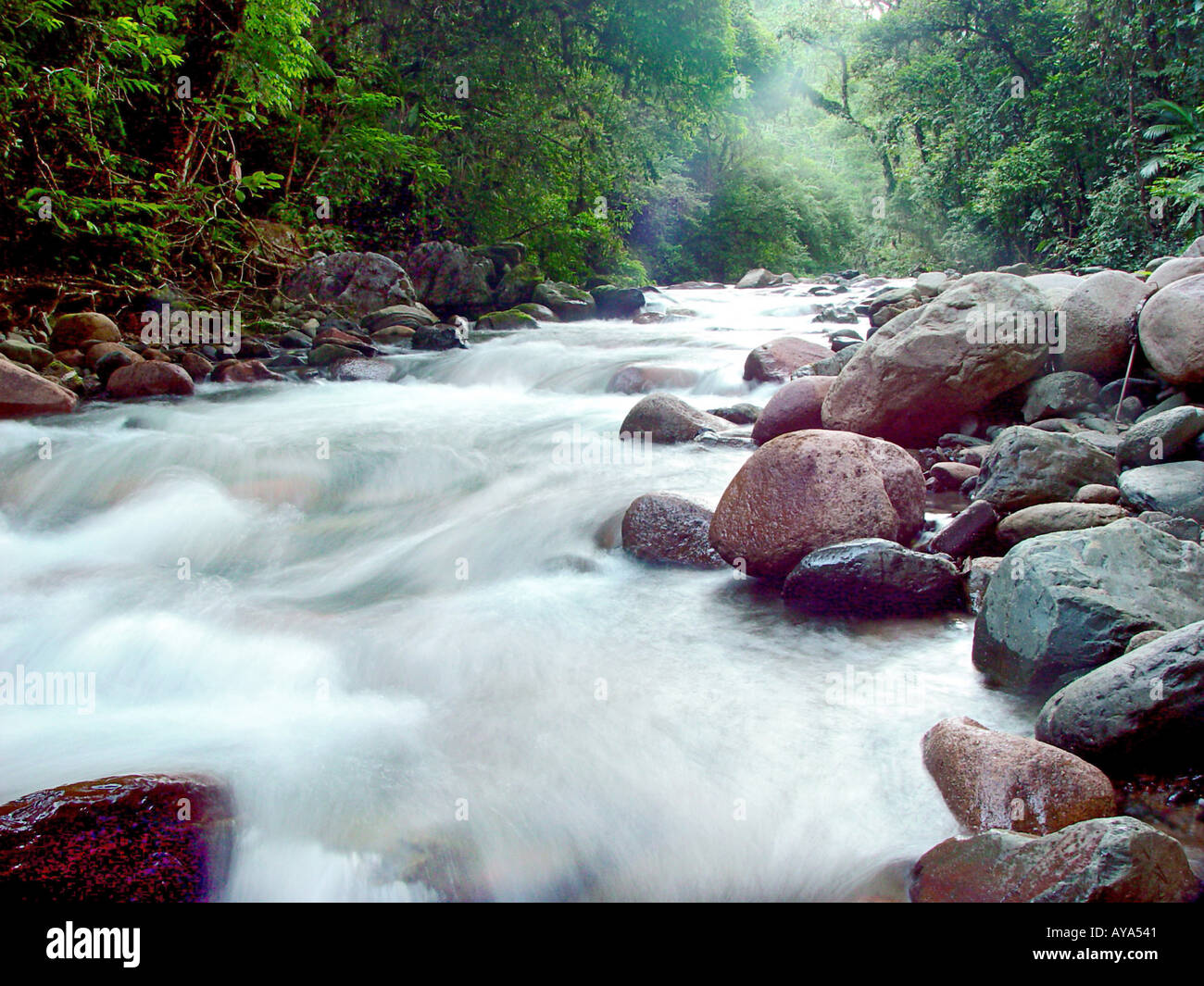 Iporanga river PETAR Sao Paulo Brazil Stock Photo - Alamy