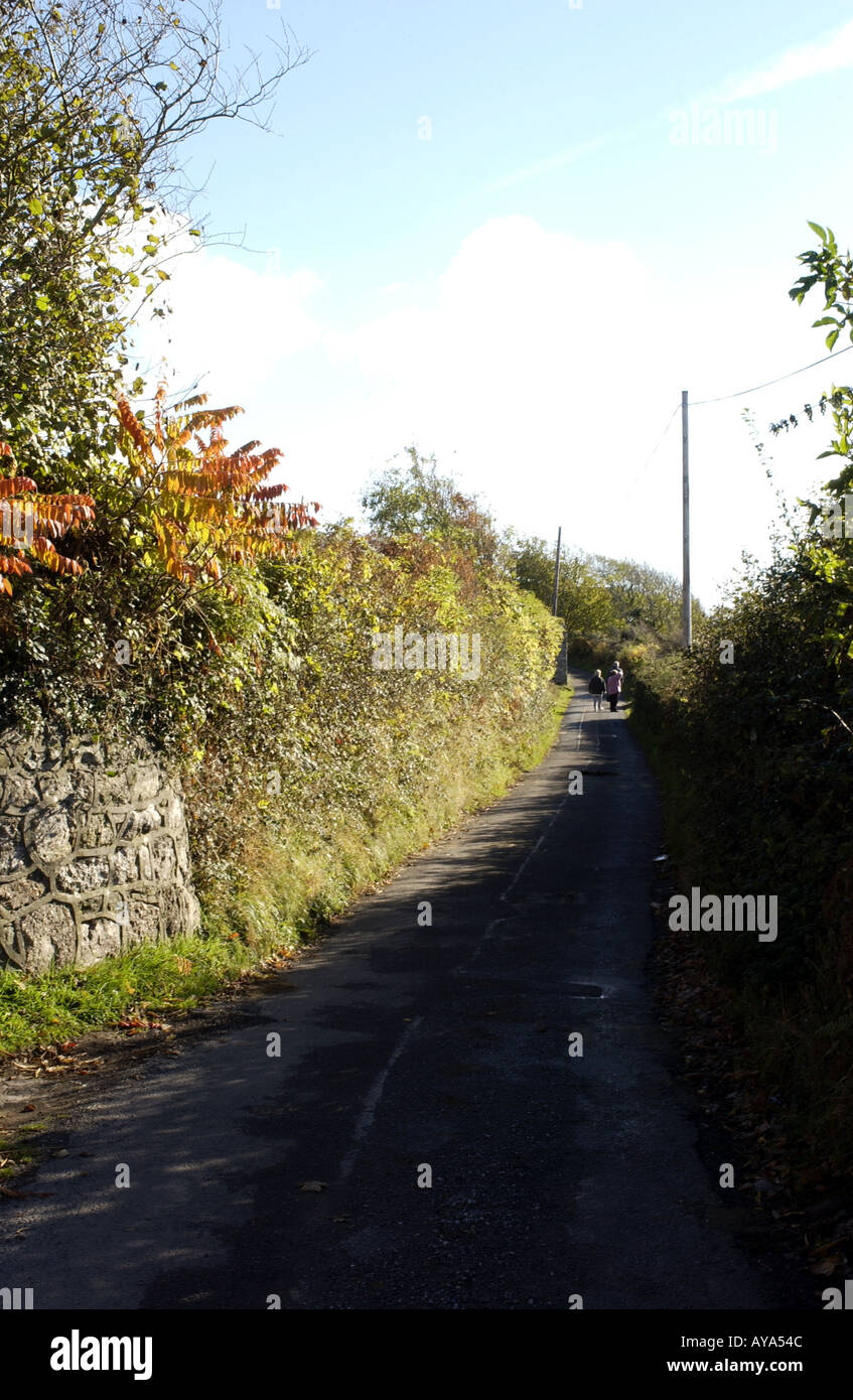 Gower Country Lane Wales UK Stock Photo - Alamy