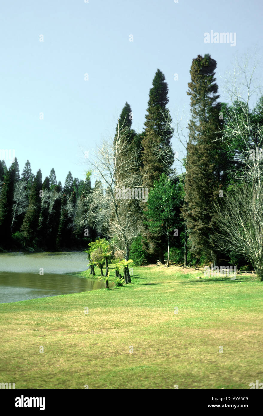Gramado brasil hi-res stock photography and images - Alamy