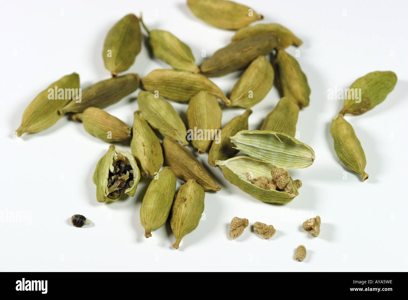Cardamom elettaria hi-res stock photography and images - Alamy