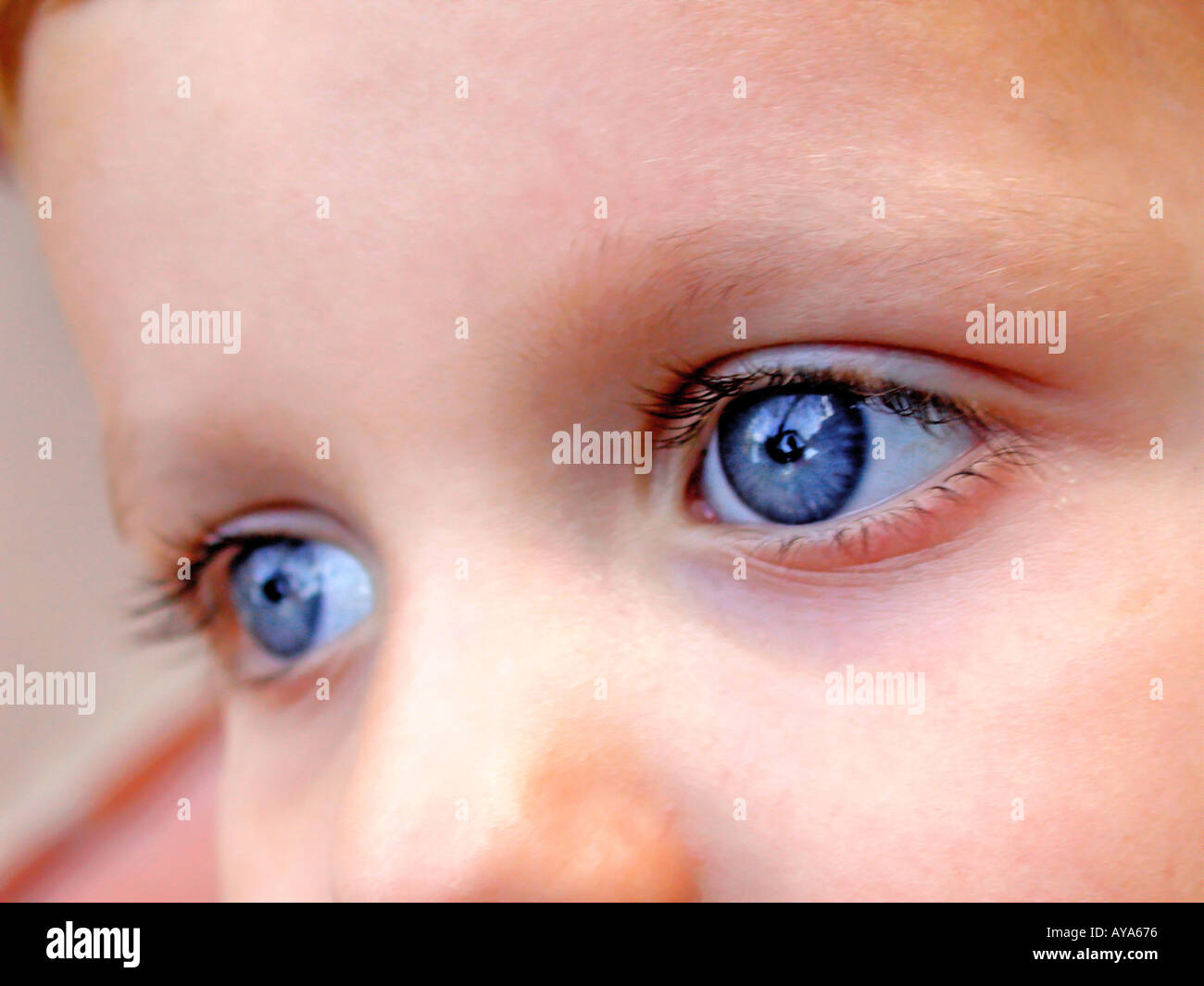 Child s eyes Stock Photo - Alamy