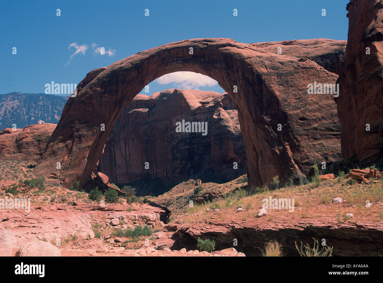 Rainbow Bridge Lake Powell Utah USA Stock Photo - Alamy