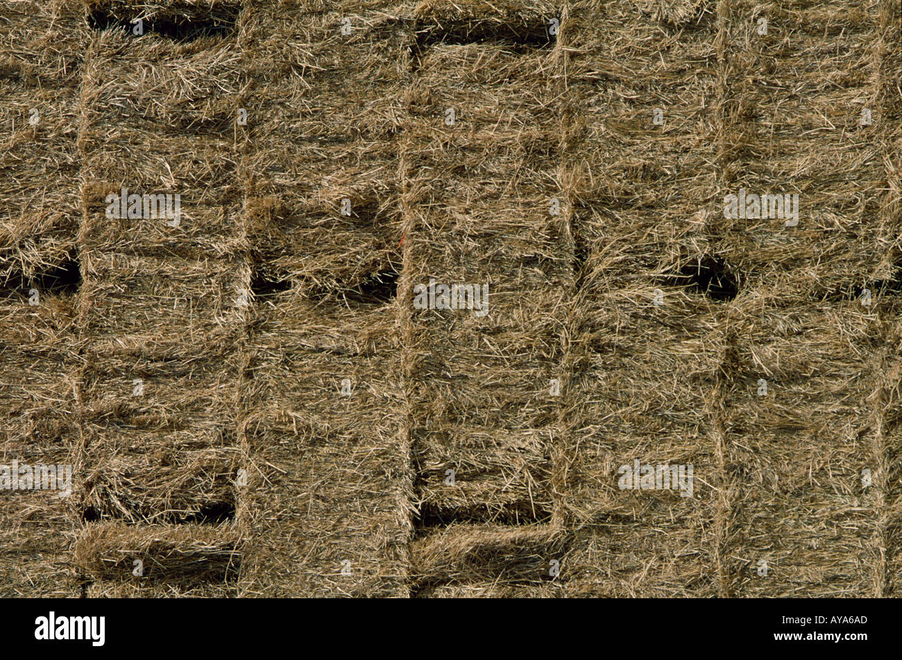 Hay bales production hi-res stock photography and images - Alamy