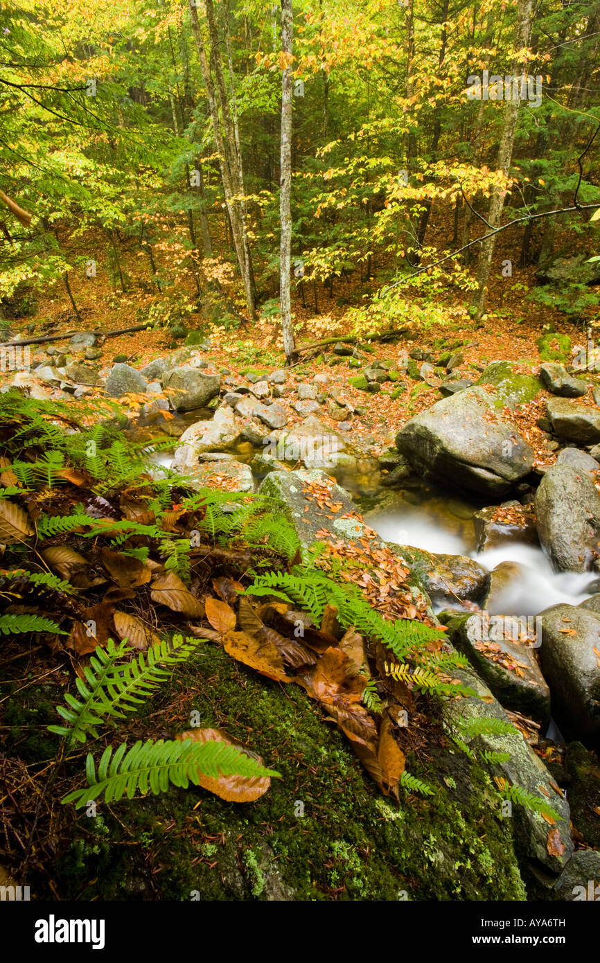 Baker hollow hi-res stock photography and images - Alamy