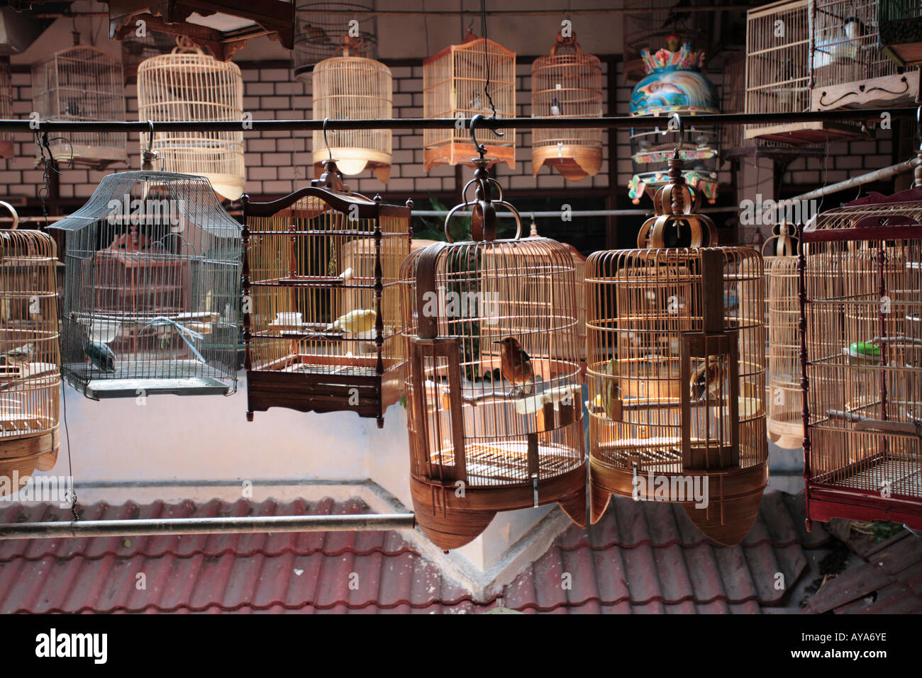 Indonesia Jakarta Lines of caged birds inside Bird Market Stock Photo ...