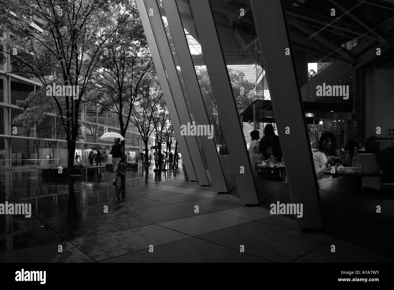 Asia Tokyo Japan Trees in spring rain outside Tokyo International Forum ...