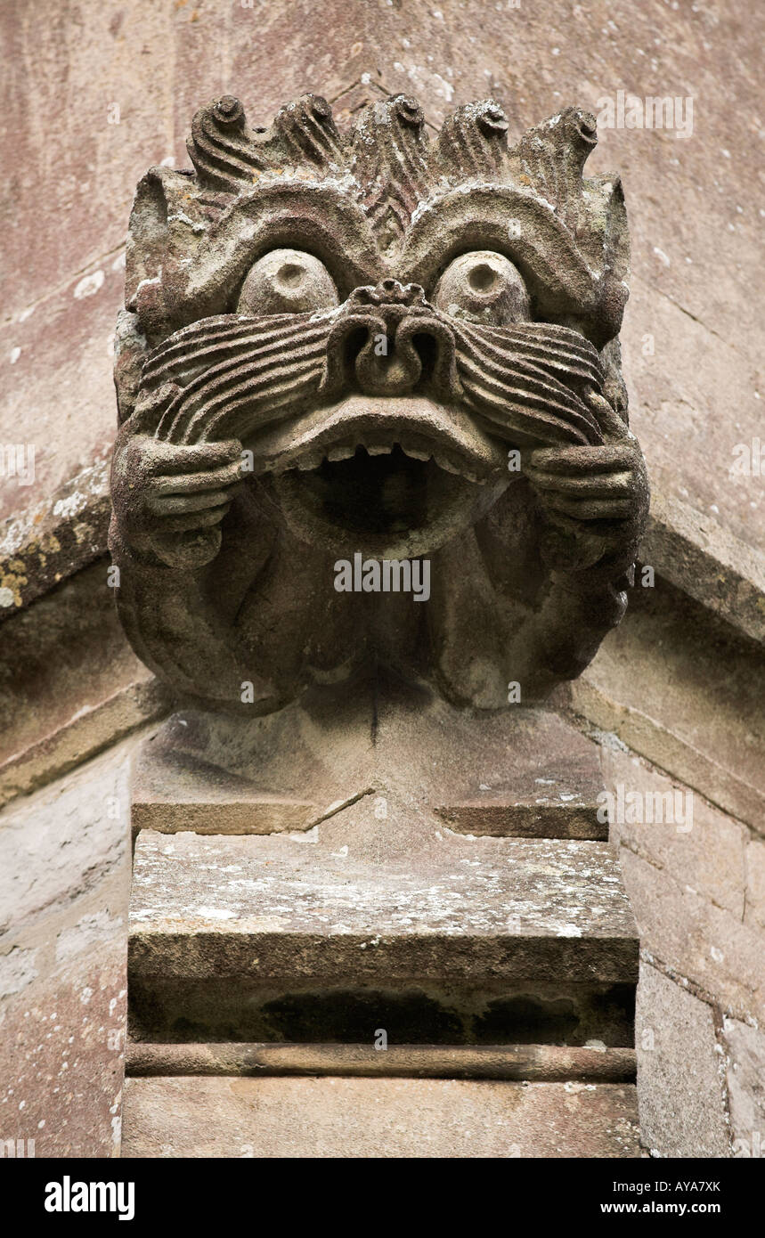 Gargoyle on church, Castle Cary, Somerset, England, UK Stock Photo - Alamy