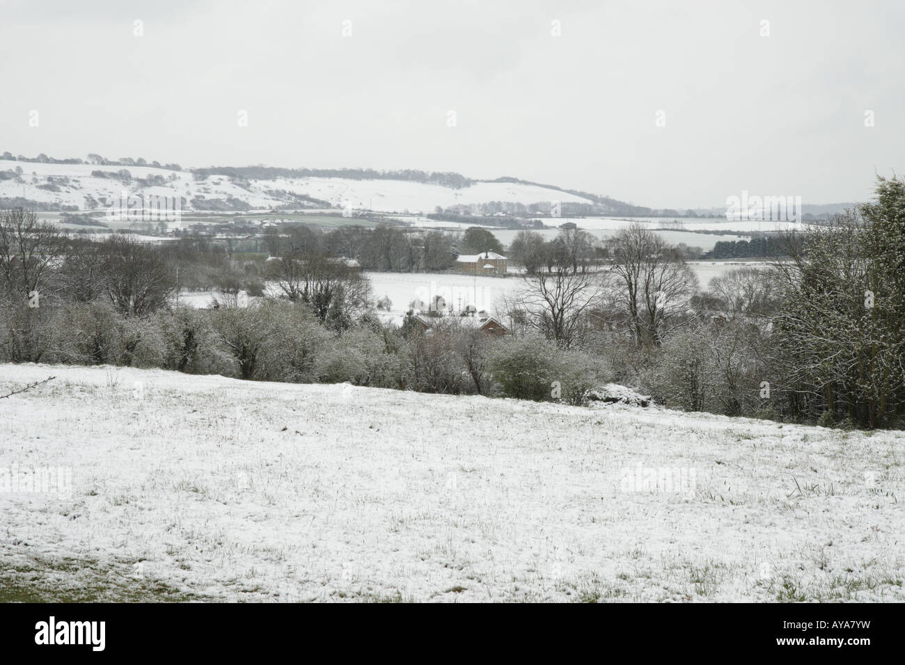 Dunstable Downs Landscape covered in snow Stock Photo - Alamy
