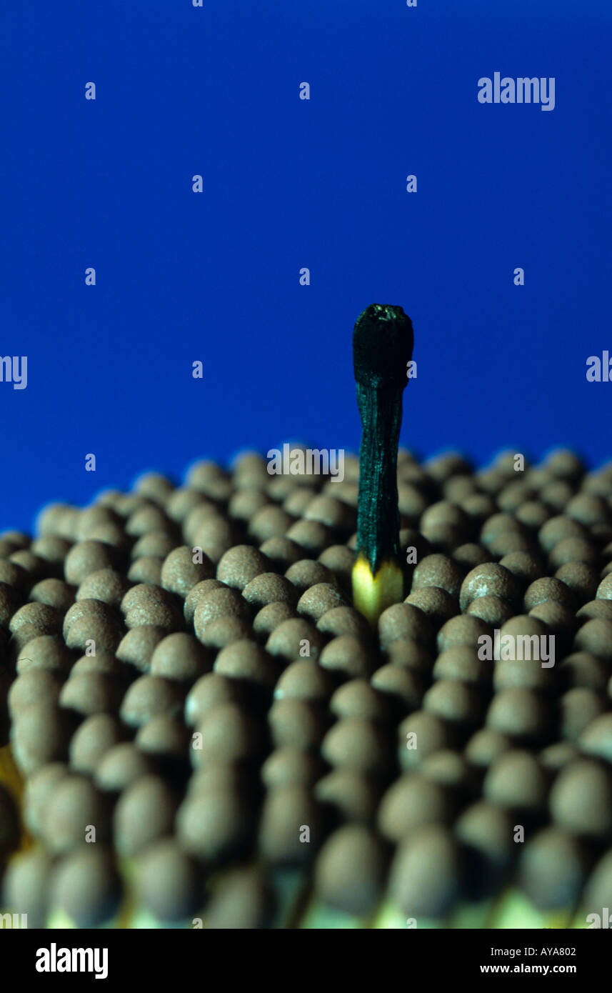 How many matches hi-res stock photography and images - Alamy