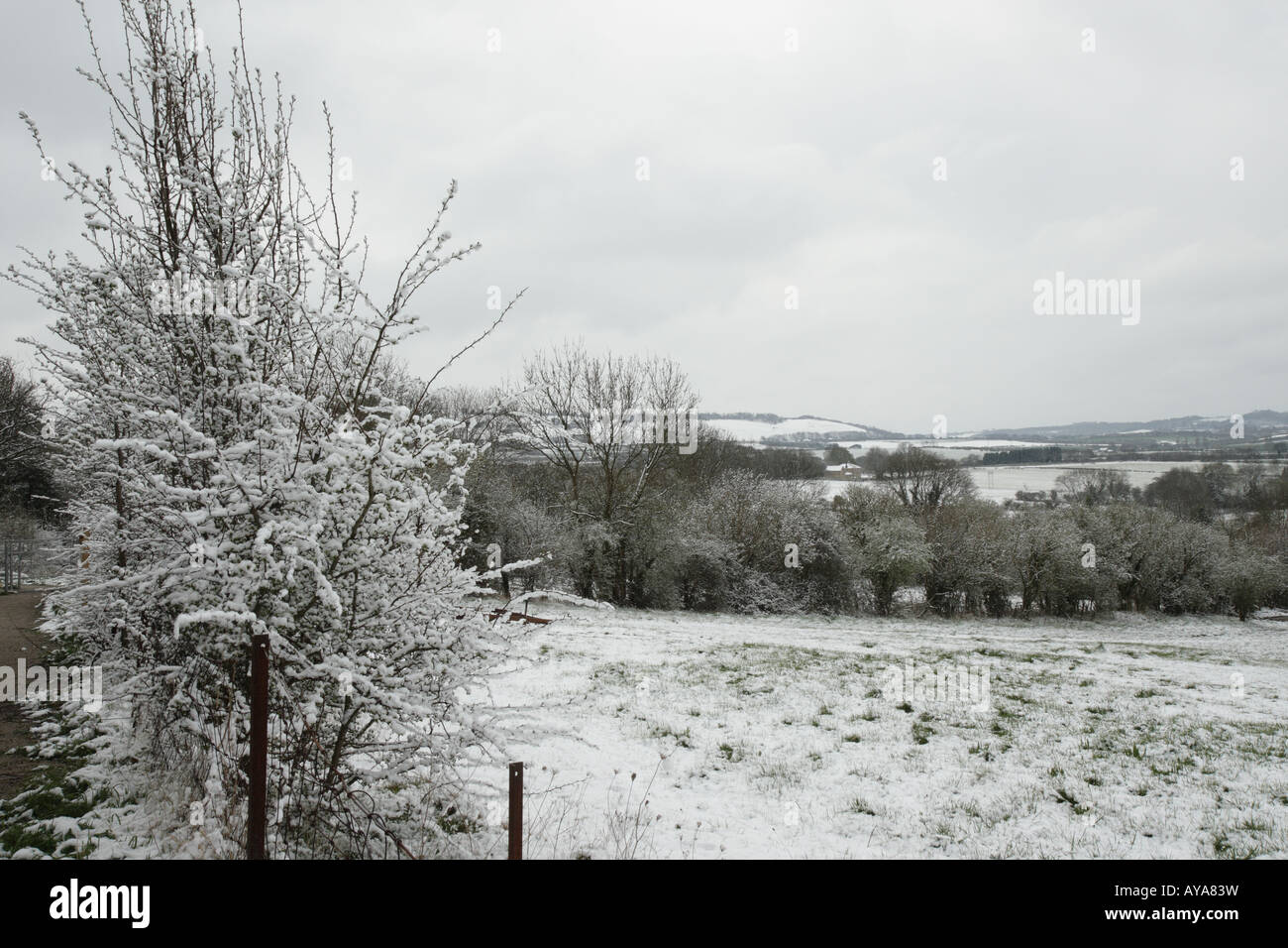 Dunstable Downs covered in snow Stock Photo - Alamy