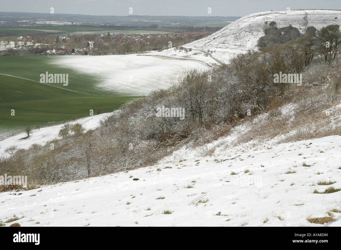 Dunstable Downs covered in snow in April Stock Photo - Alamy