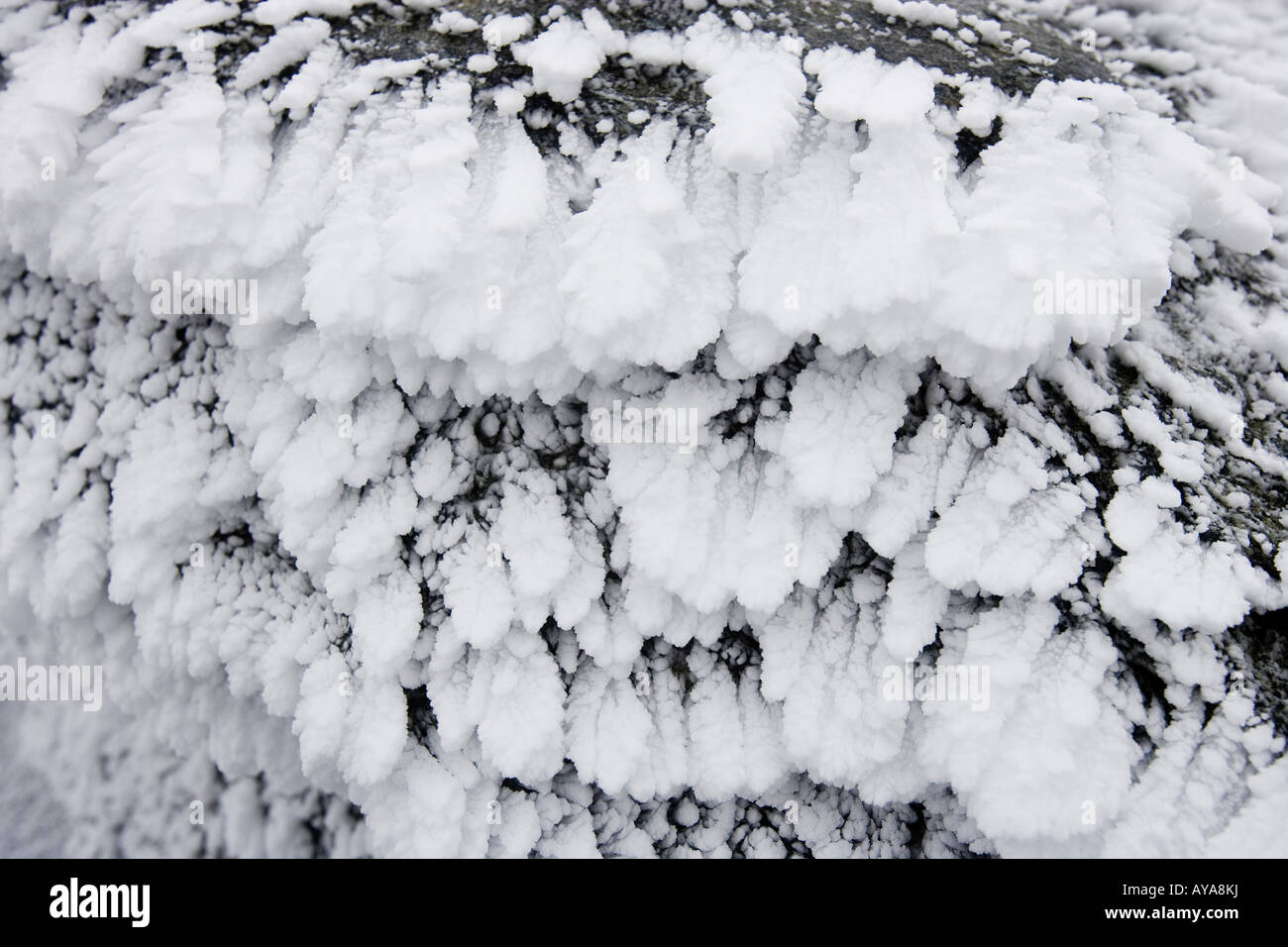 Rime ice formation hi-res stock photography and images - Alamy