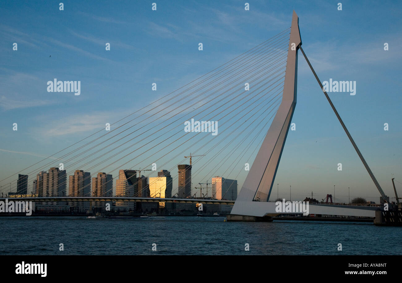 Rotterdam structure hi-res stock photography and images - Alamy
