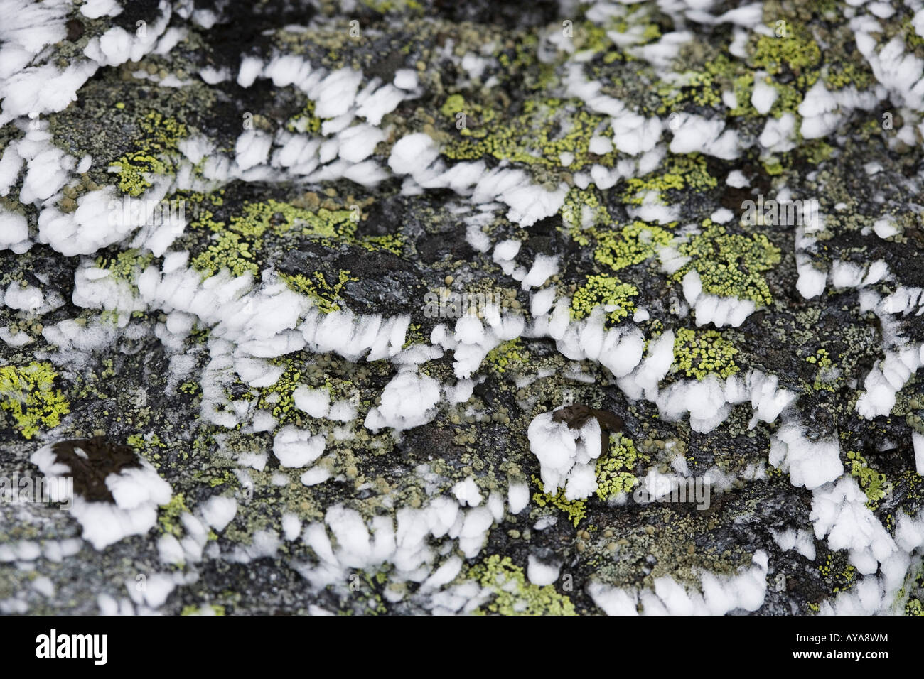 Rime ice on the summit of Mount Washington in New Hampshire's White ...