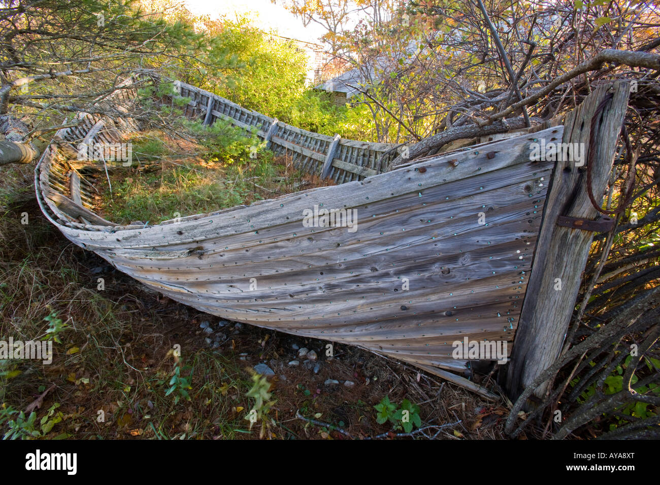 An old wooden skiff decays in the woods at Timber Point in Biddeford ...