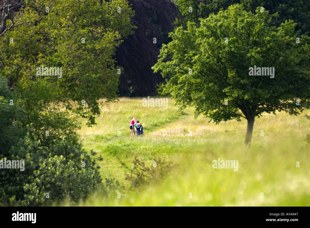 Hampstead Heath in summer London England Britain UK United Kingdom ...
