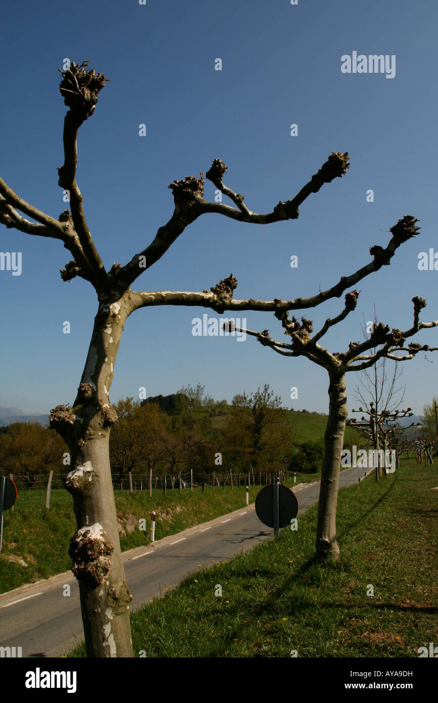 Lazkao in the Basque Country Stock Photo - Alamy