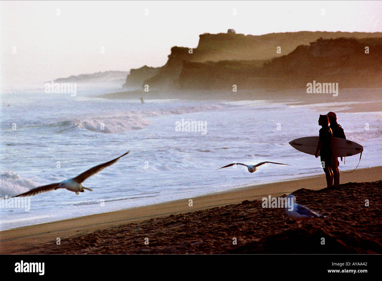 Montauk ditch plains beach hi-res stock photography and images - Alamy