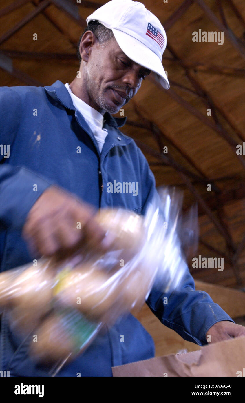 Sam jenkins hi-res stock photography and images - Alamy