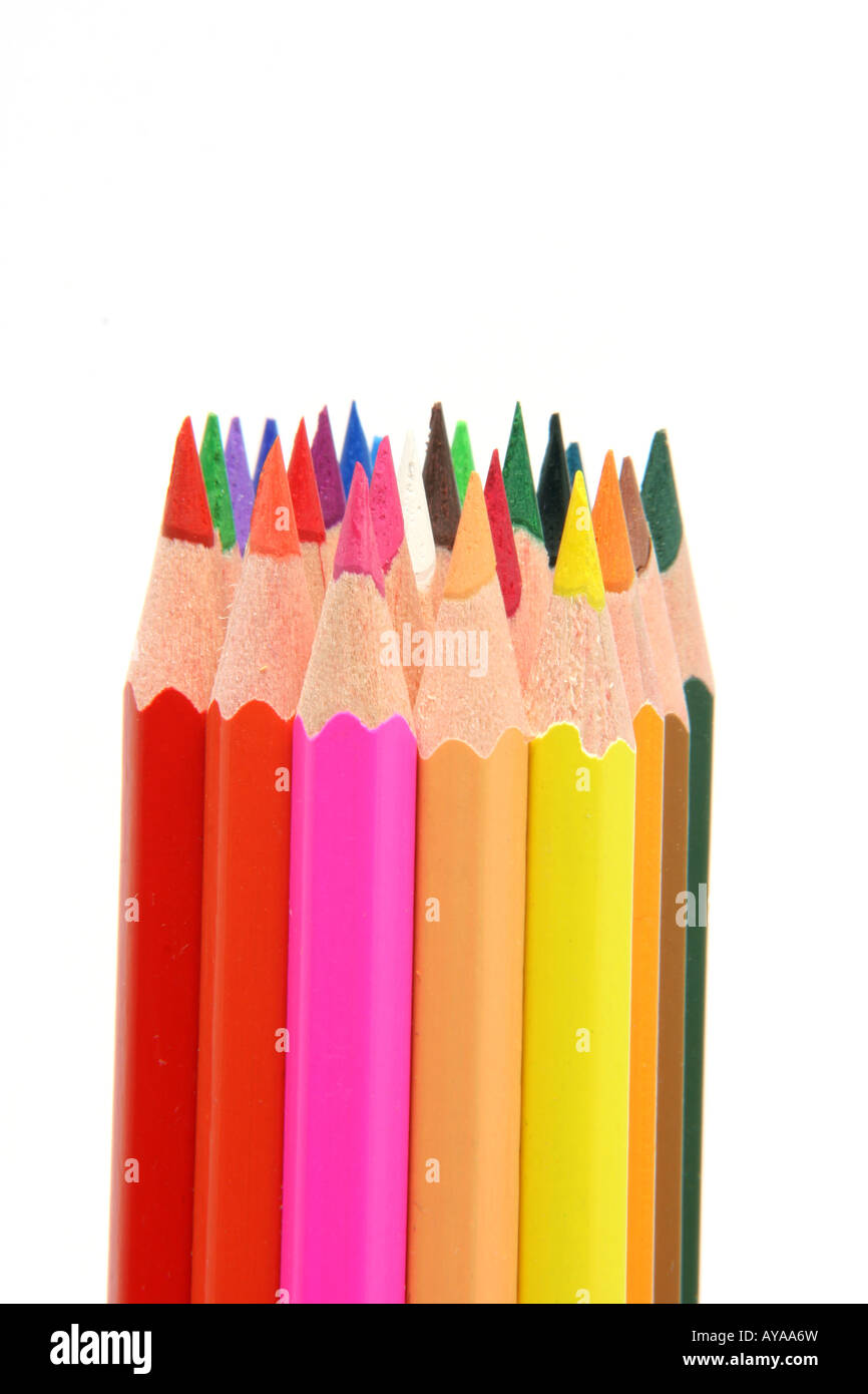 isolated color pencils sharpened on white backgroud with copy space ...