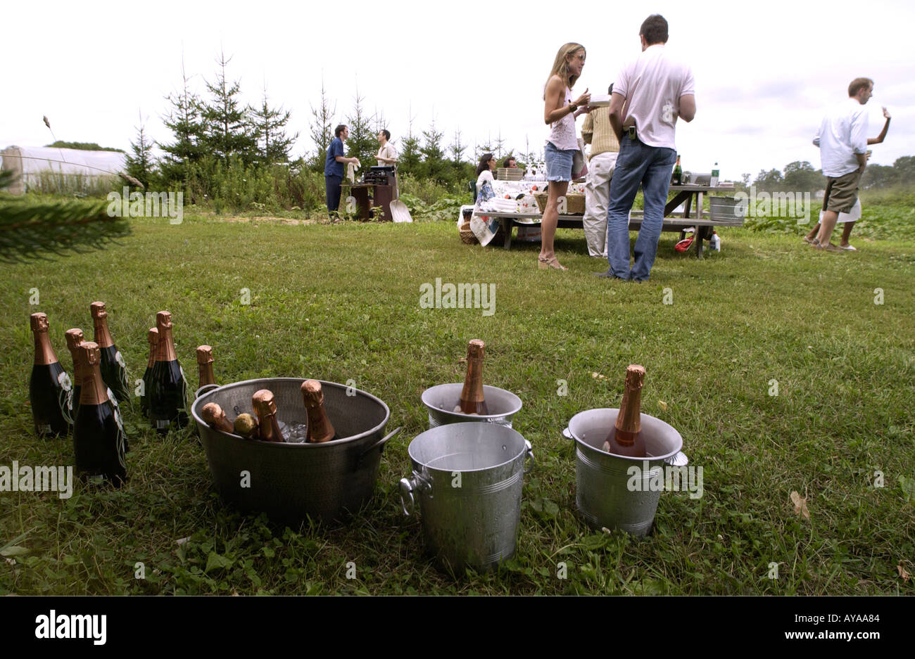 Water Mill NY 072602 STYLES Good Company Organic lunch at the Green ...
